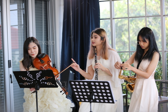 student learning a music song of classic musical class at home studio ...