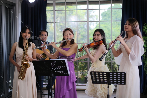 classic musical song student are learning to play a music instrument in ...