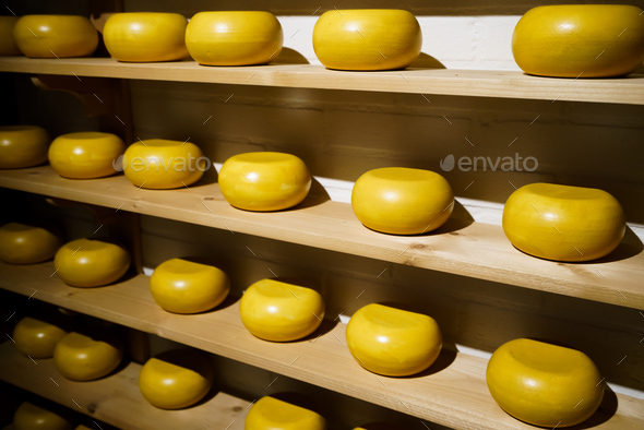 Cheese shop display. Farmer cheese. Cheese wheels in store Stock Photo ...