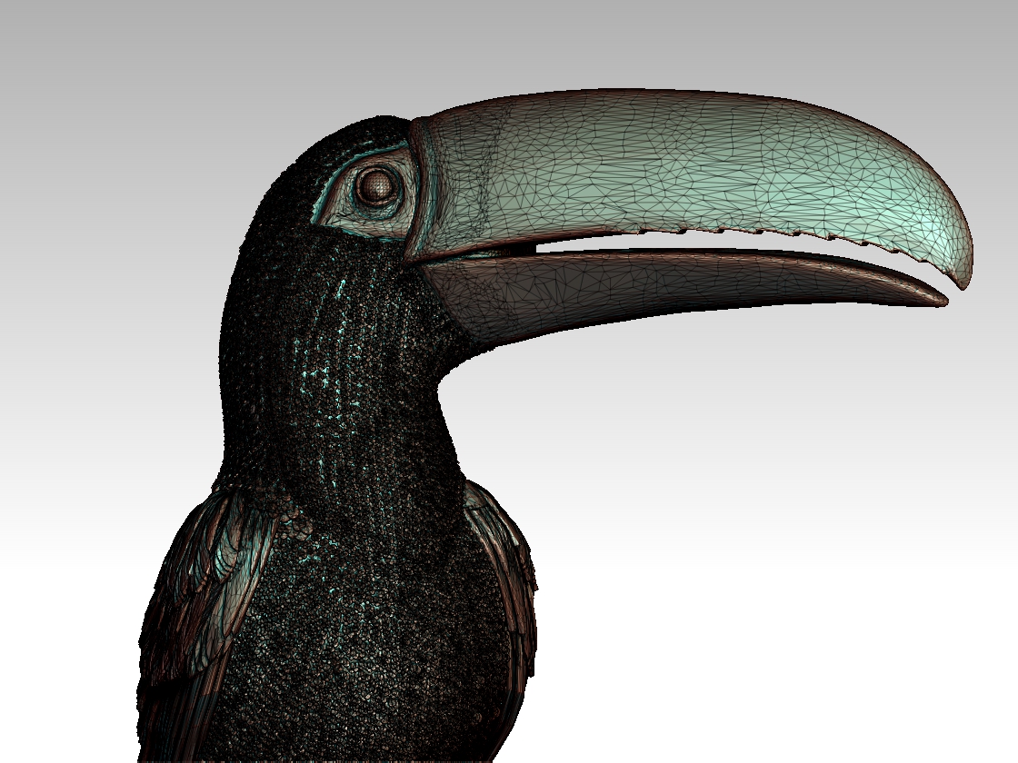 tucan by explorertit36gmailcom | 3DOcean