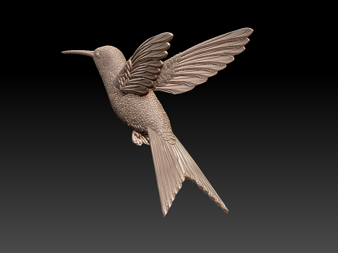 colibri humming bird by explorertit36gmailcom | 3DOcean