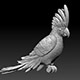 parrot cacadu by explorertit36gmailcom | 3DOcean