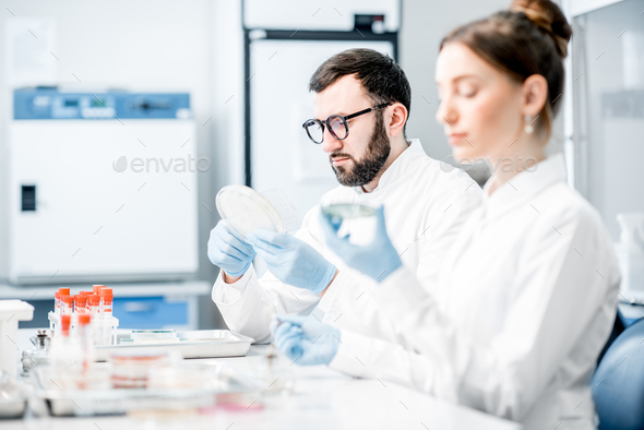 Laboratory assistants in the bacteriological department Stock Photo by ...