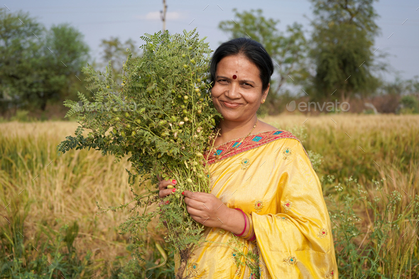 Rural Indian women in the field, Maharashtra, India. Stock Photo by ...