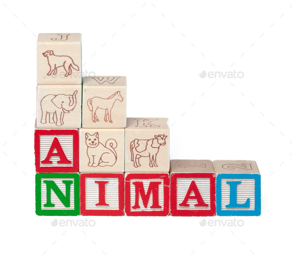 Colorful alphabet blocks. Word animal isolated on white background ...