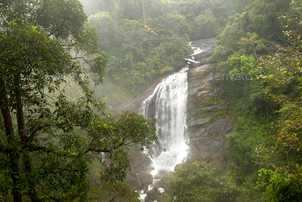 Cheeyappara Waterfalls, Munnar, Kerala, India Stock Photo by crshelare