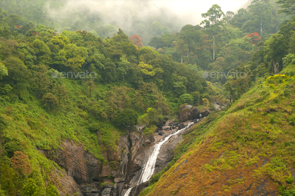 Cheeyappara Waterfalls, Munnar, Kerala, India Stock Photo by crshelare
