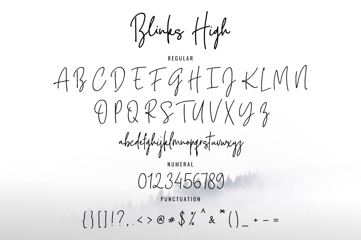 Blink High - Signature Script Font, Fonts | GraphicRiver