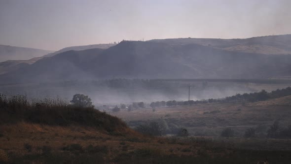 Smog spreading above the grass field by amibornstein | VideoHive