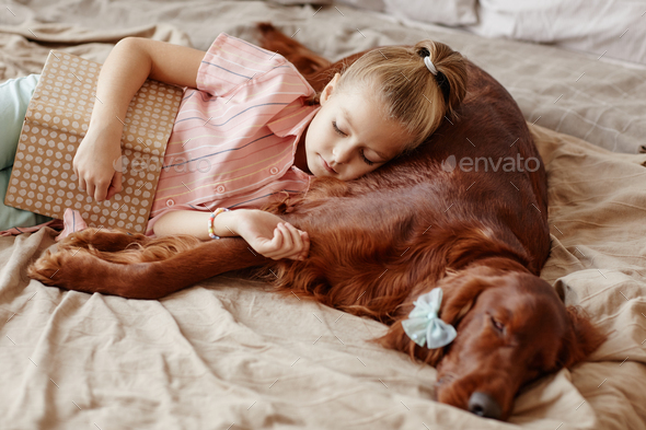 Girl Sleeping with Dog Stock Photo by seventyfourimages | PhotoDune