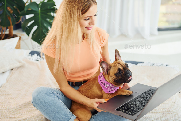 Using laptop. Woman with pug dog is at home at daytime Stock Photo by ...