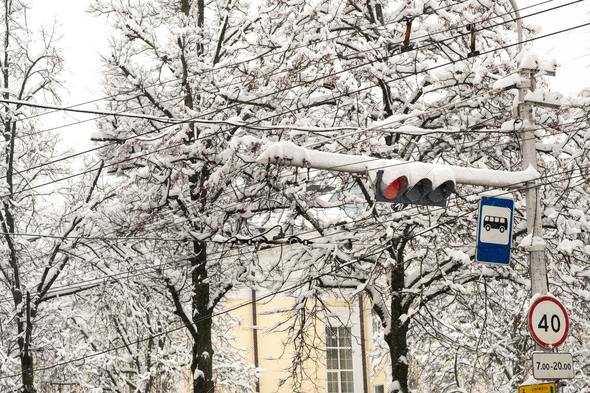 A working traffic light on a city street in winter. The red light of ...