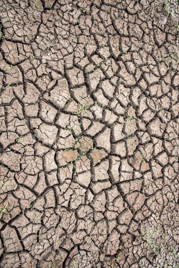Dry cracked earth texture background. Dried earth pattern. Stock Photo ...