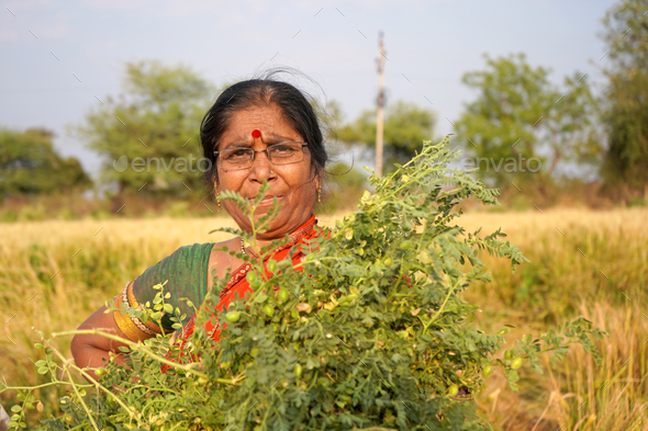 Rural Indian women in the field, Maharashtra, India. Stock Photo by ...