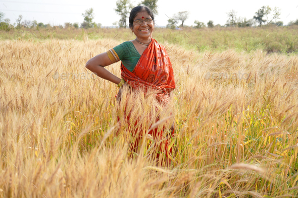 Rural Indian women in the field, Maharashtra, India. Stock Photo by ...