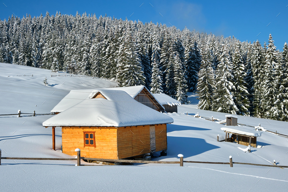 Small wooden house covered with fresh fallen snow surrounded with tall ...
