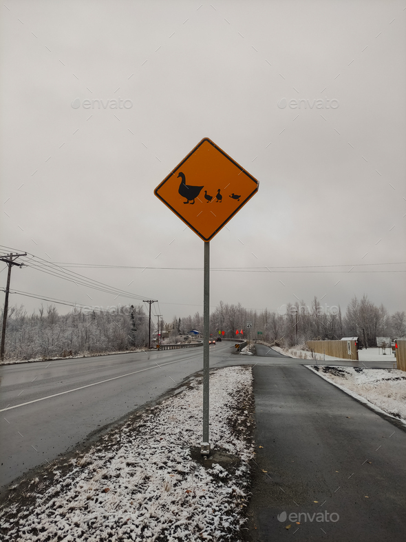 Birds road crossing sign. Alaska, USA Stock Photo by Maxim8609 | PhotoDune