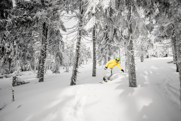 Man riding a snowboard in the snowy forest Stock Photo by RossHelen