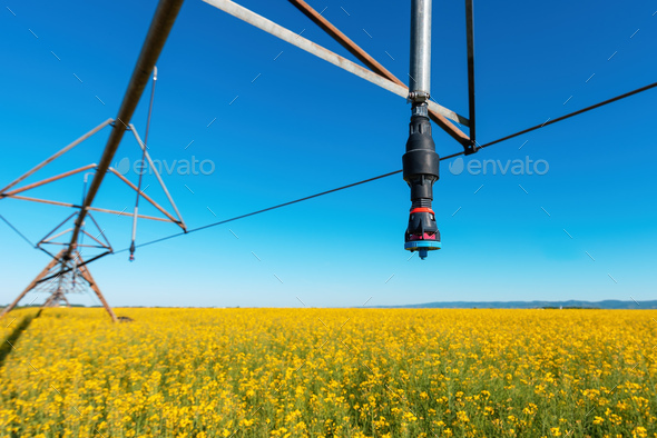Linear or lateral move irrigation with rotator style pivot applicator ...