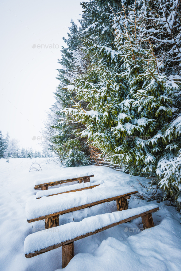 Snow-covered benches stand in high snowdrifts Stock Photo by YouraPechkin