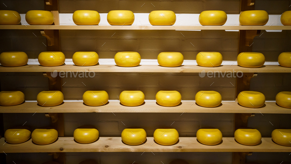 Cheese shop display. Farmer cheese. Cheese wheels in store Stock Photo ...