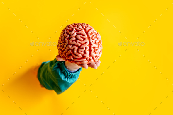 female hand hold human brain on yellow background. Stock Photo by ...