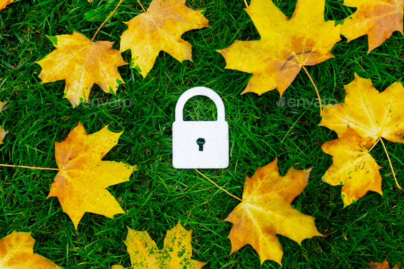 White shape of lock on green grass with maple leaves around Stock Photo ...