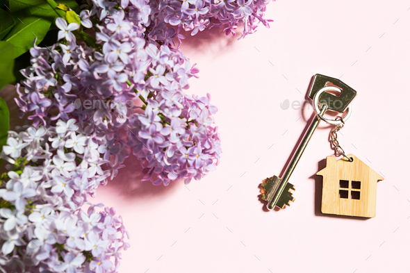 House key with keychain on pink spring background and lilac branches ...