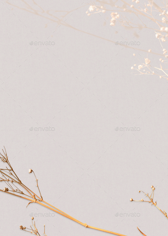 Dried floral background natural design space Stock Photo by Rawpixel