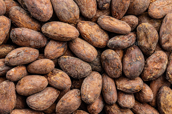 Dried cocoa beans Stock Photo by jirkaejc | PhotoDune