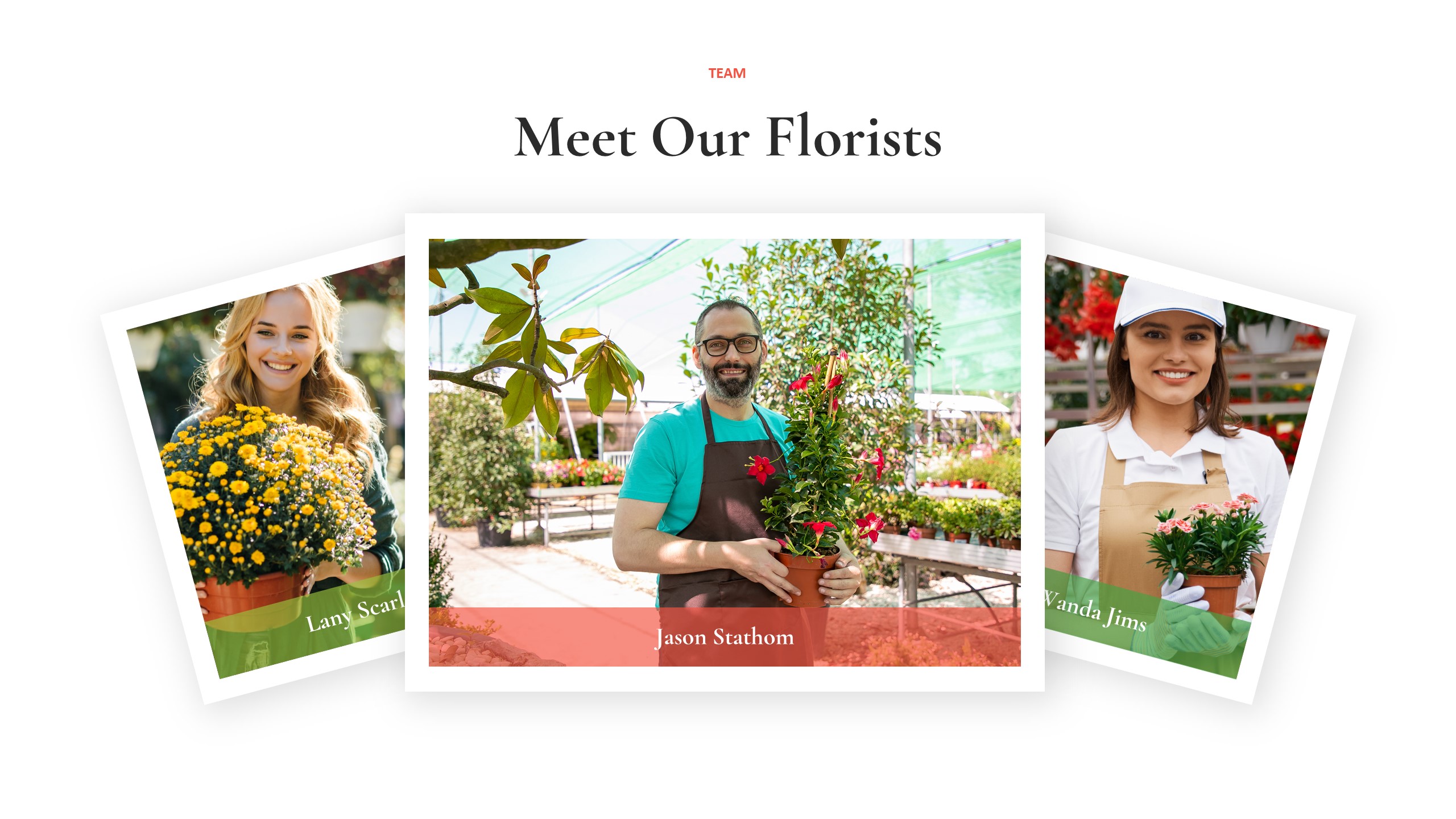 Aglonea - Florist & Flower Boutique Powerpoint Template, Presentation ...