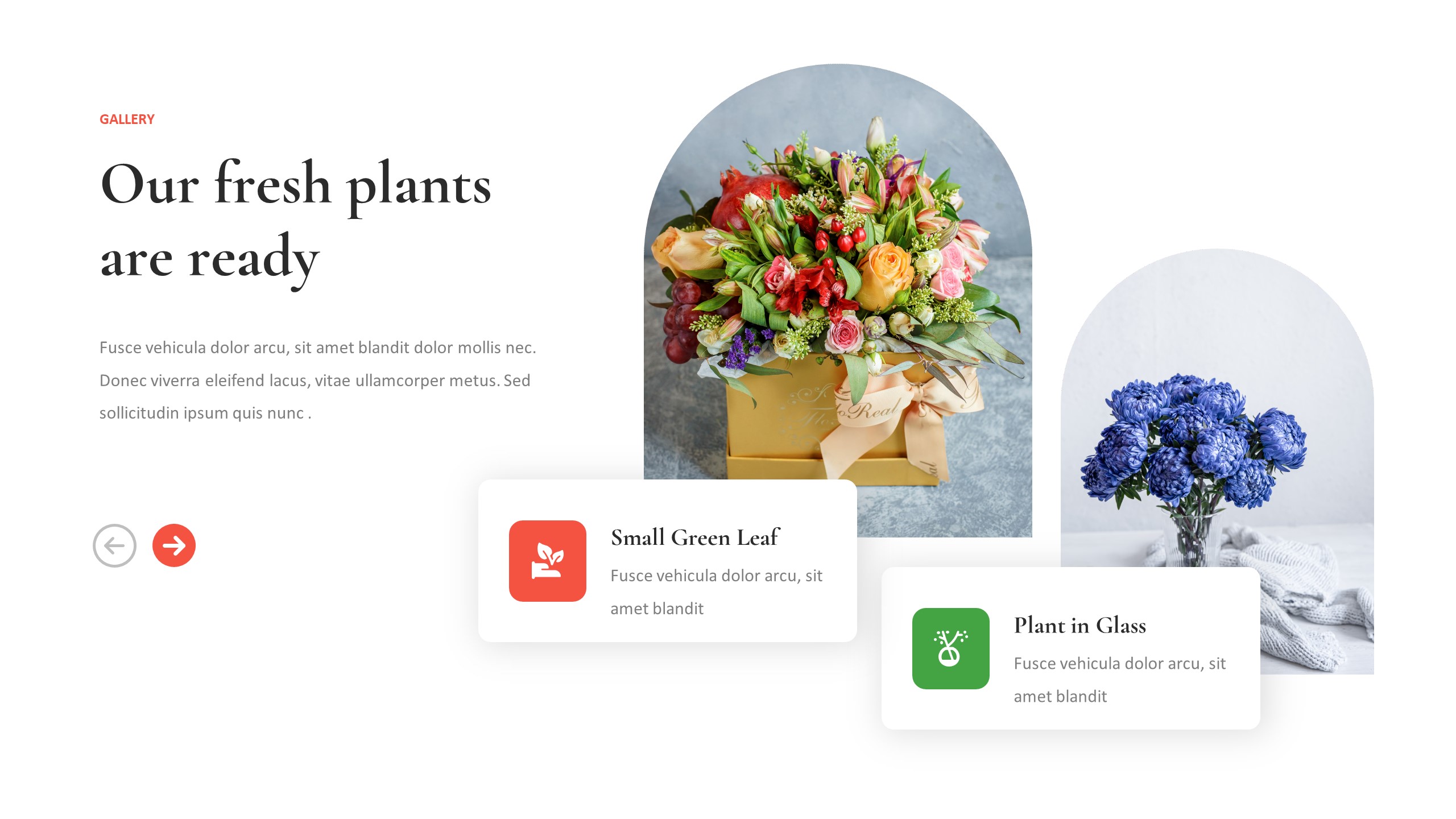 Aglonea - Florist & Flower Boutique Powerpoint Template, Presentation ...