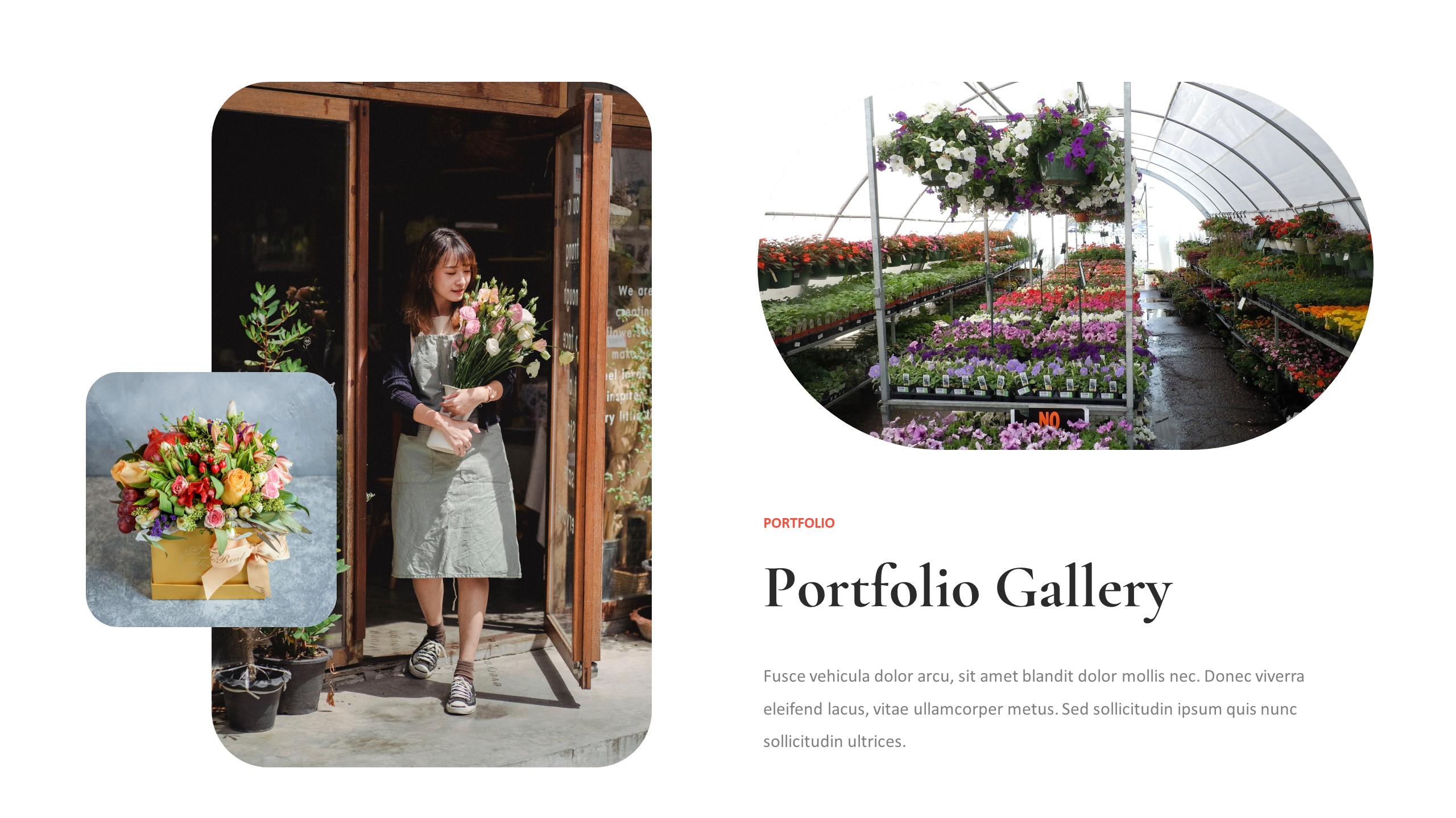 Aglonea - Florist & Flower Boutique Powerpoint Template, Presentation ...