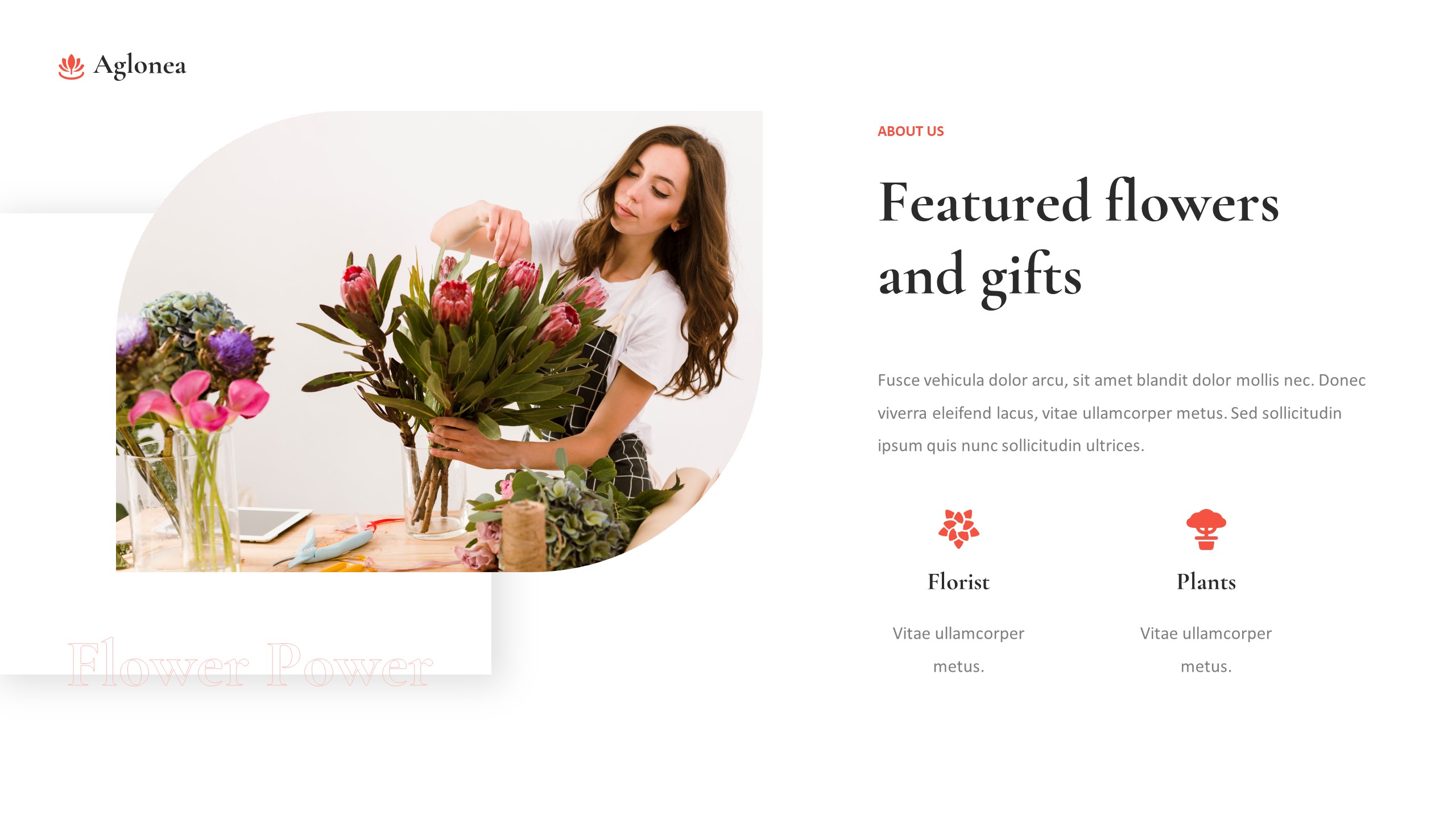 Aglonea - Florist & Flower Boutique Powerpoint Template, Presentation ...