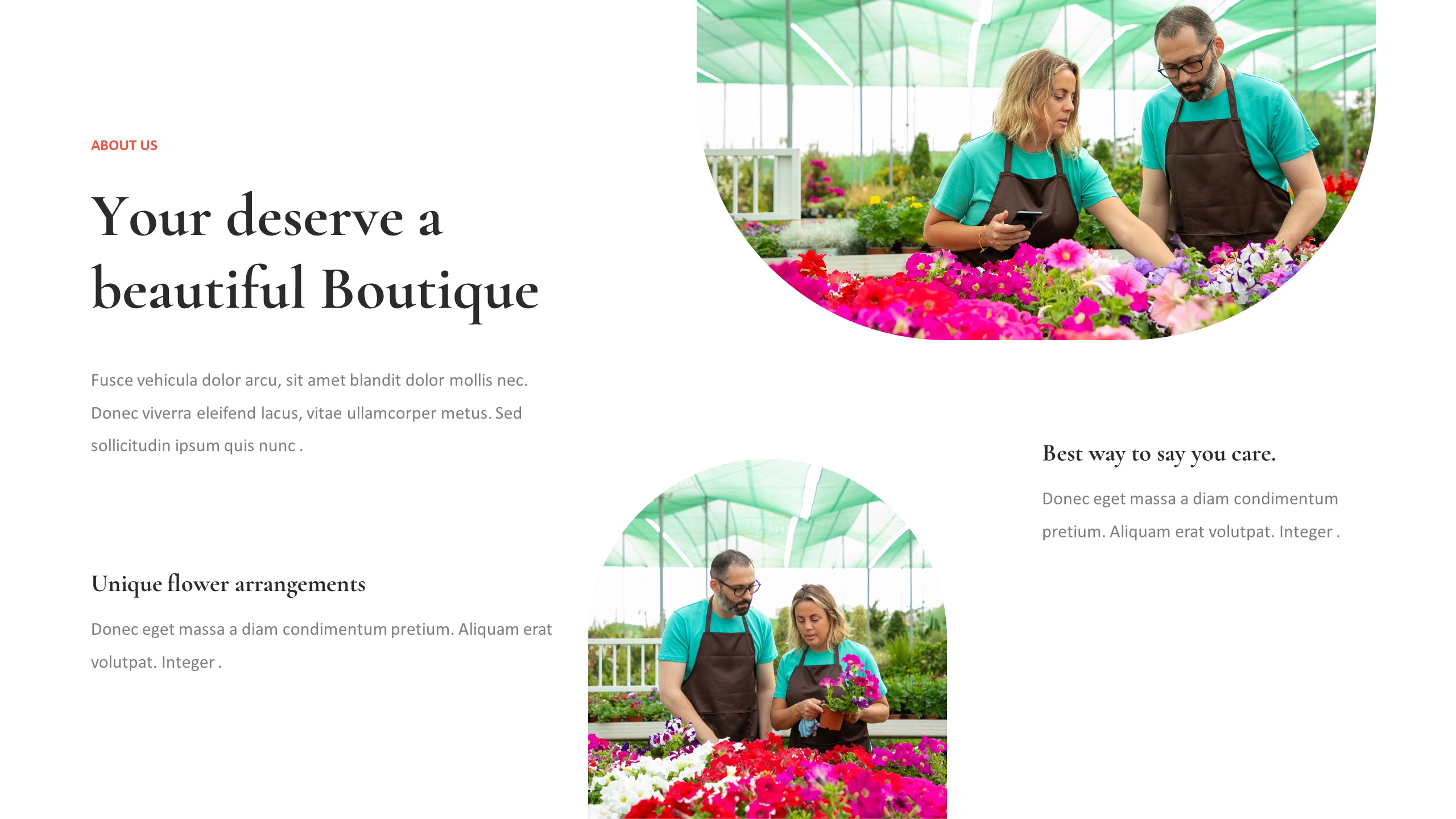 Aglonea - Florist & Flower Boutique Powerpoint Template, Presentation ...