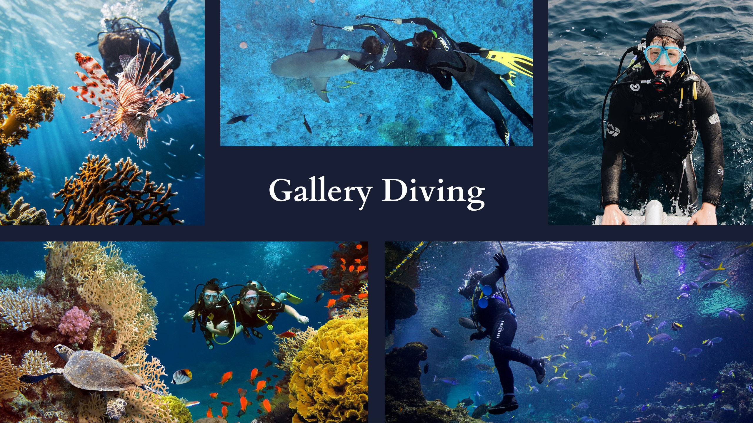 DIVELING - Scuba Diving & Surfing Powerpoint Template, Presentation ...