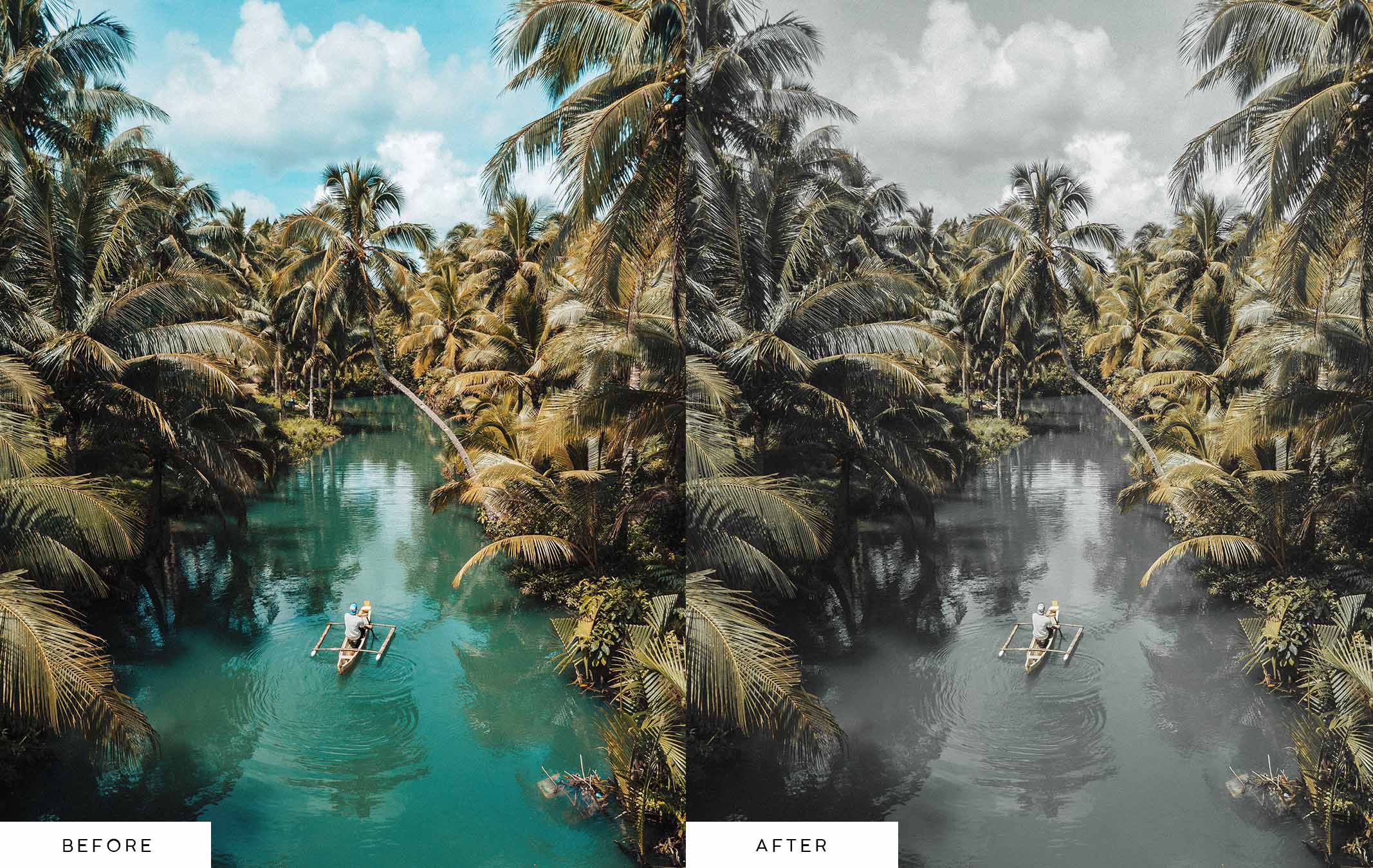 10 Desaturated Green Lightroom Preset, Add-ons | GraphicRiver