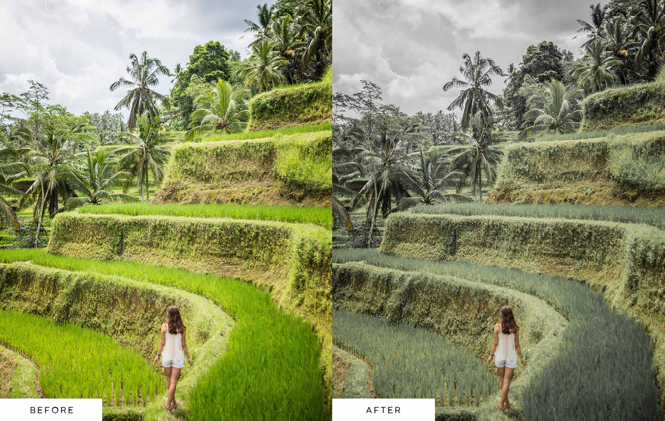 10 Desaturated Green Lightroom Preset, Add-ons | GraphicRiver