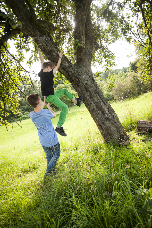 Boy helping his friend to climb down a tree Stock Photo by westend61