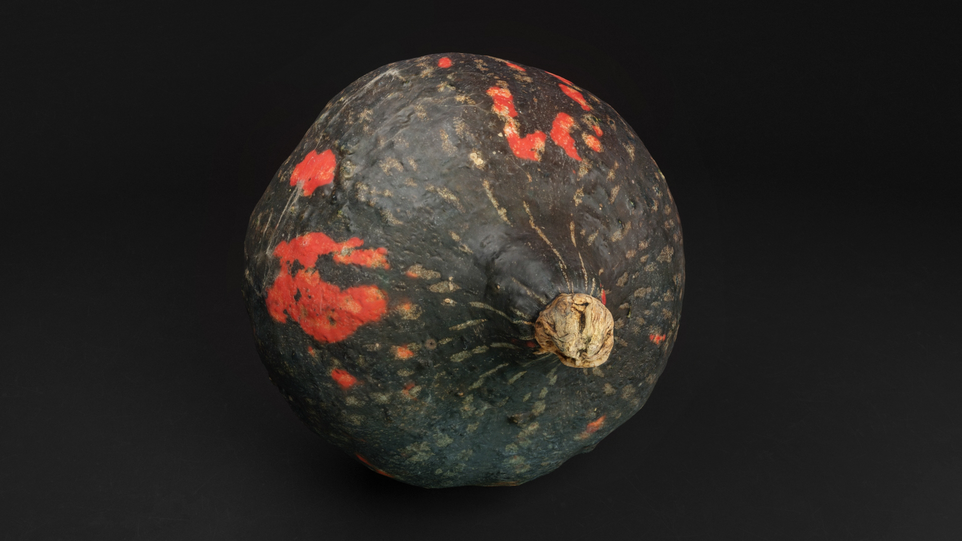 Exotic pumpkin game-ready photoscan 01 by bawan_video | 3DOcean