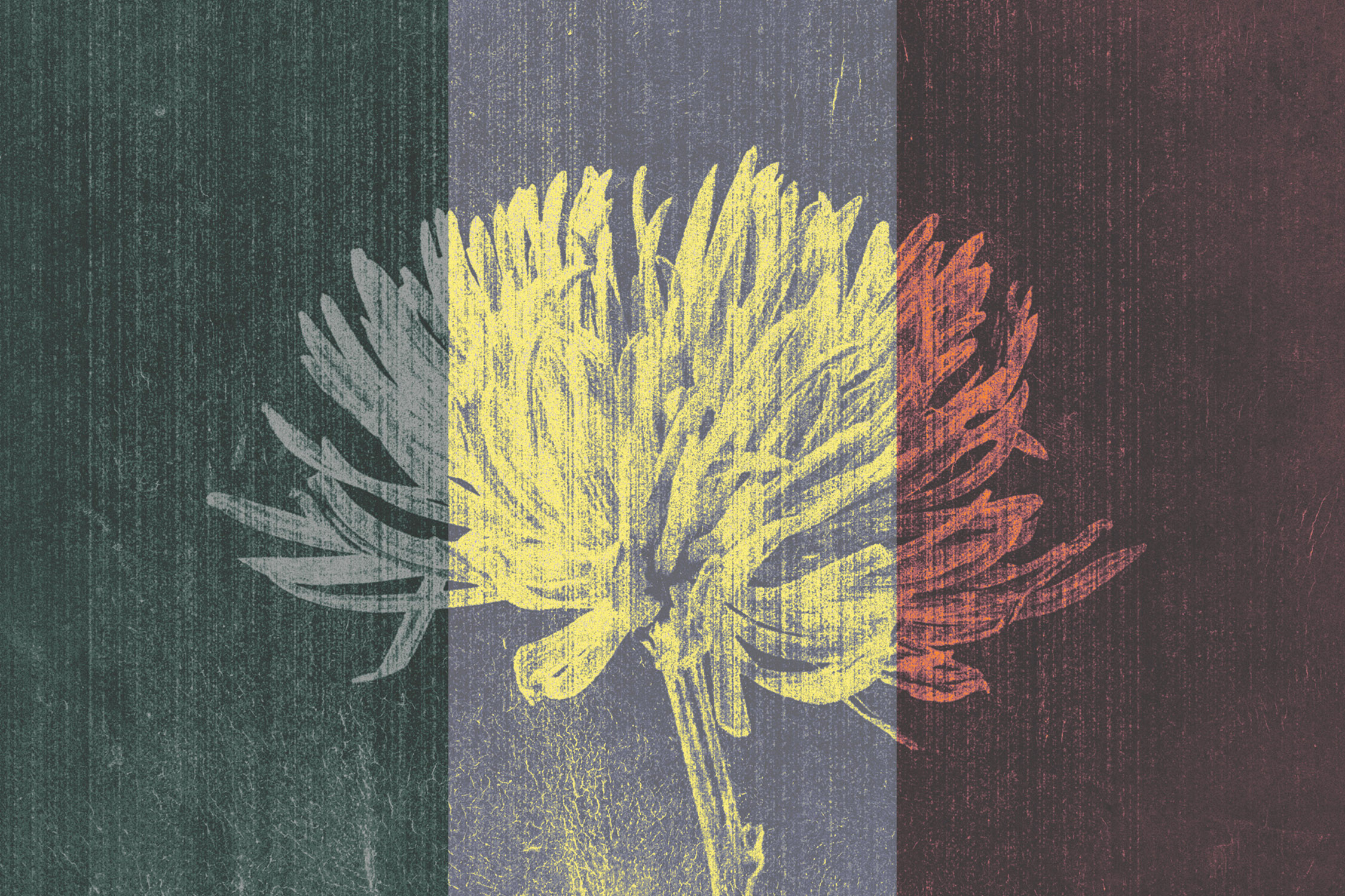 Vintage Album Photo Effects, Add-ons | GraphicRiver