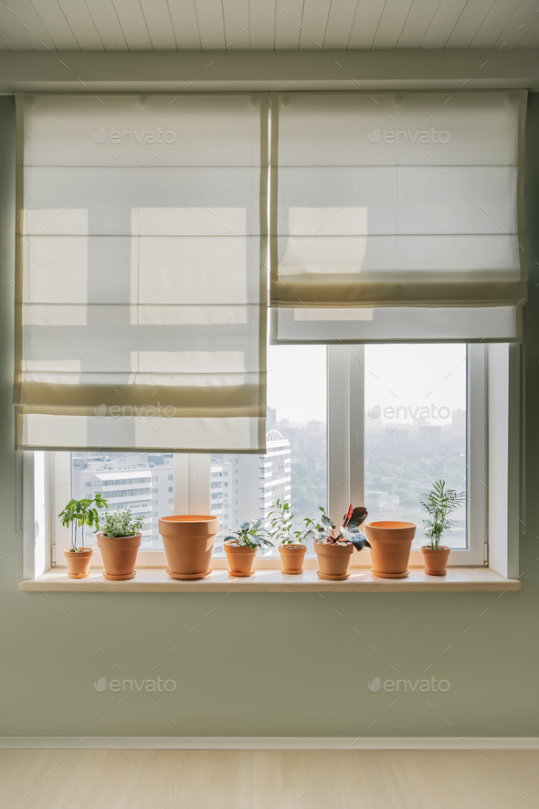 Terracotta pots on a large bright window. Stock Photo by marevgenna1985