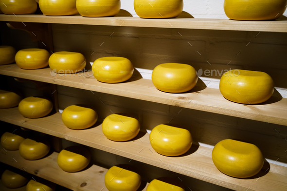 Cheese shop display. Farmer cheese. Cheese wheels in store Stock Photo ...