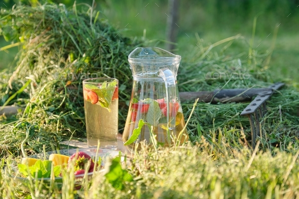 Summer refreshing natural homemade drinks Stock Photo by ...