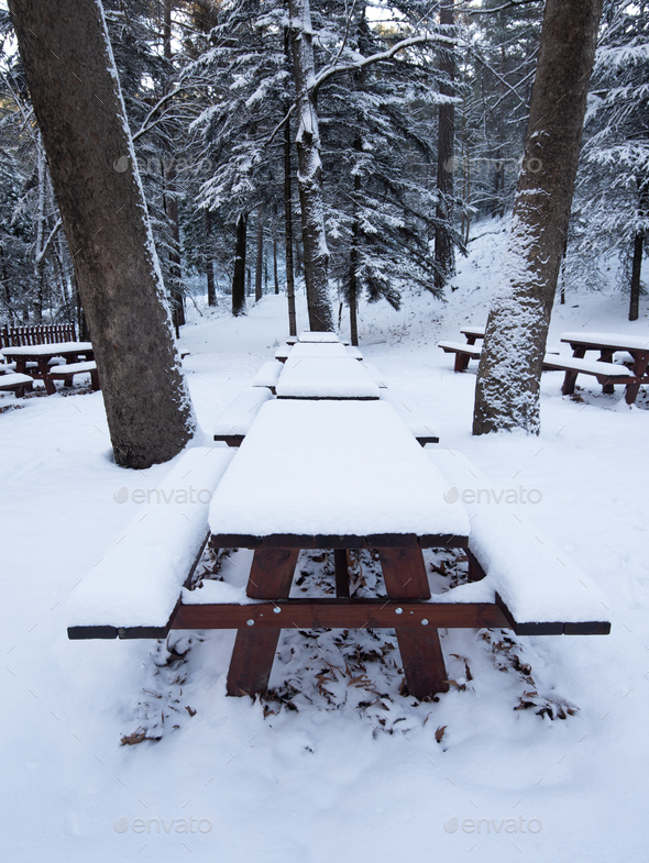 Forest picnic area with food wooden bench covered in snow. Winter snowy ...
