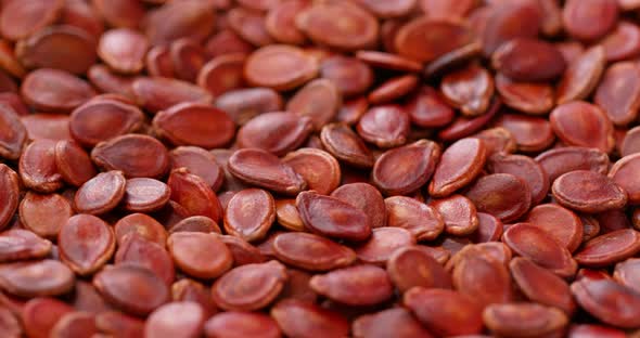 Stack of red melon seed, Stock Footage | VideoHive