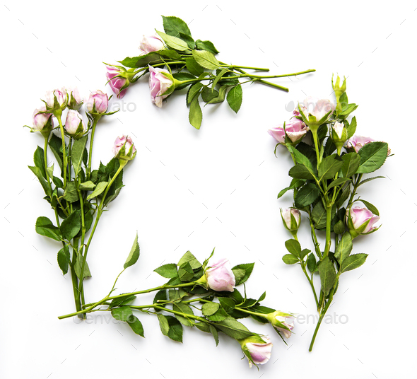 Framework from flowers Stock Photo by Olena_Rudo | PhotoDune