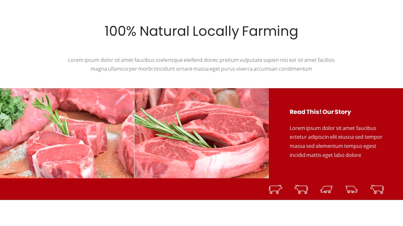 Porky Beef – Butchery & Meat Farm Google Slides Template, Presentation ...