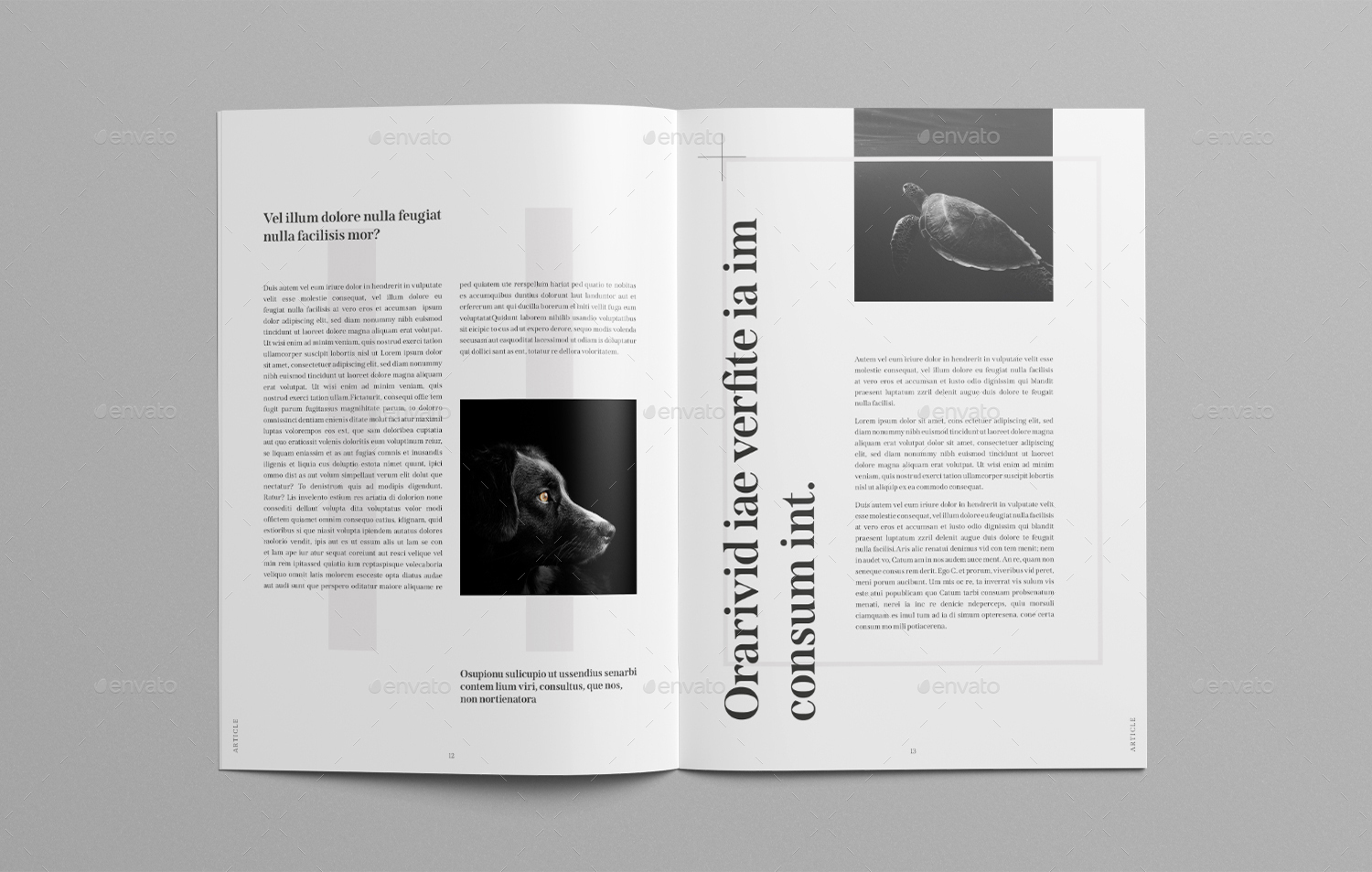 Article Magazine, Print Templates | GraphicRiver