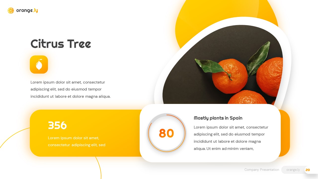 Orangely Fruit Presentation Template, Presentation Templates | GraphicRiver